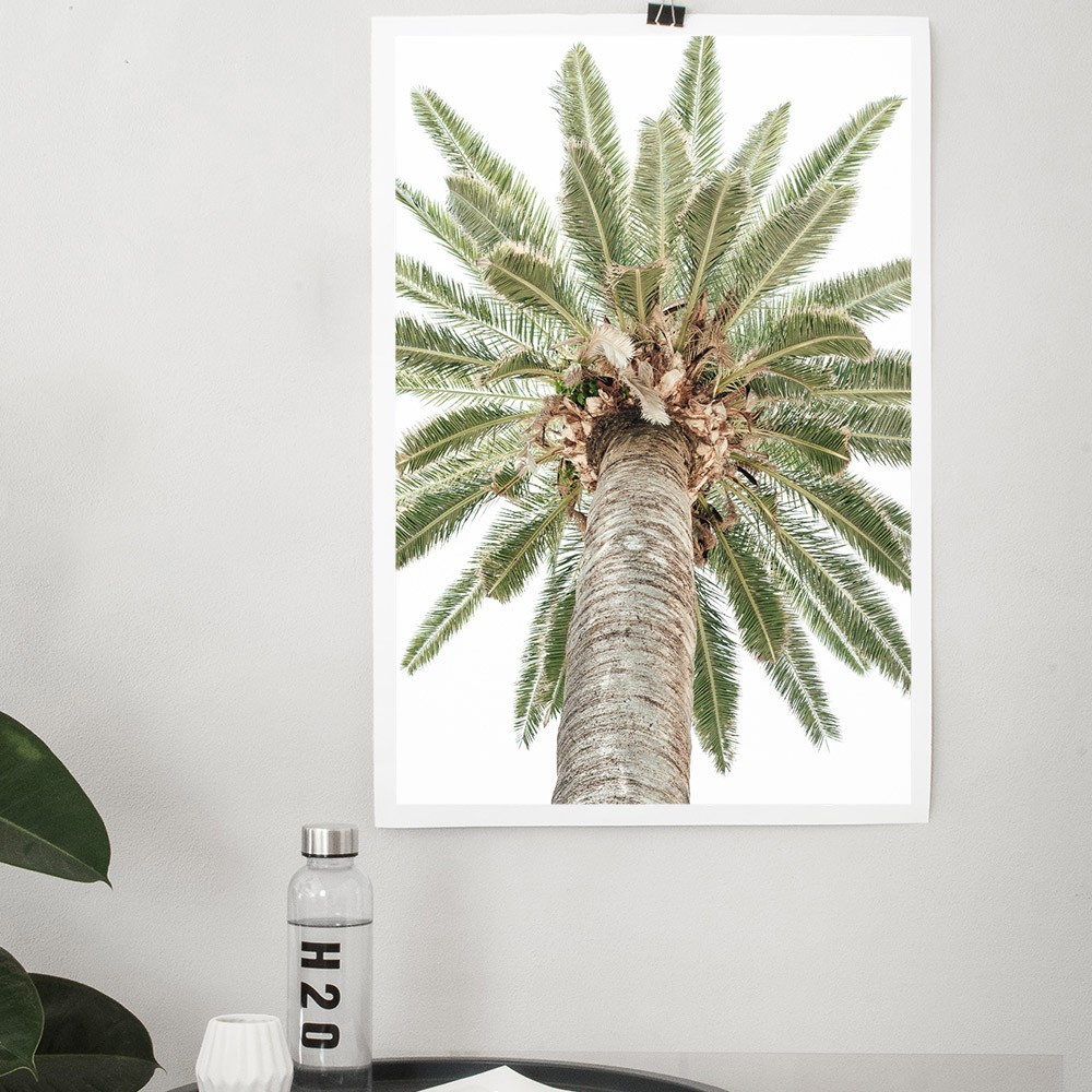 Vintage Palm Tree poster | David & David Studio